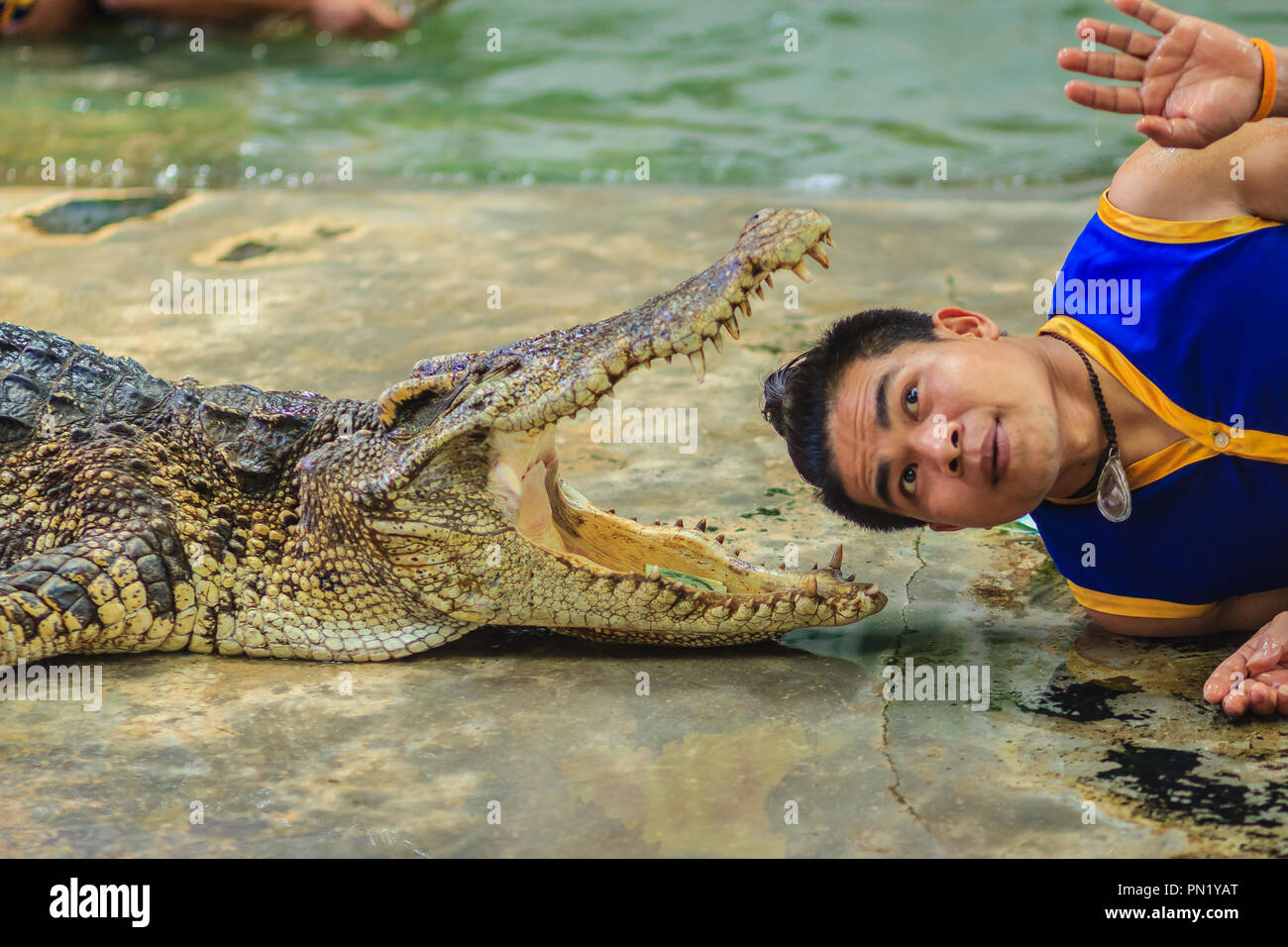 Nakhon Pathom, Thailand - May 18, 2017: Risky crocodile shows at ...