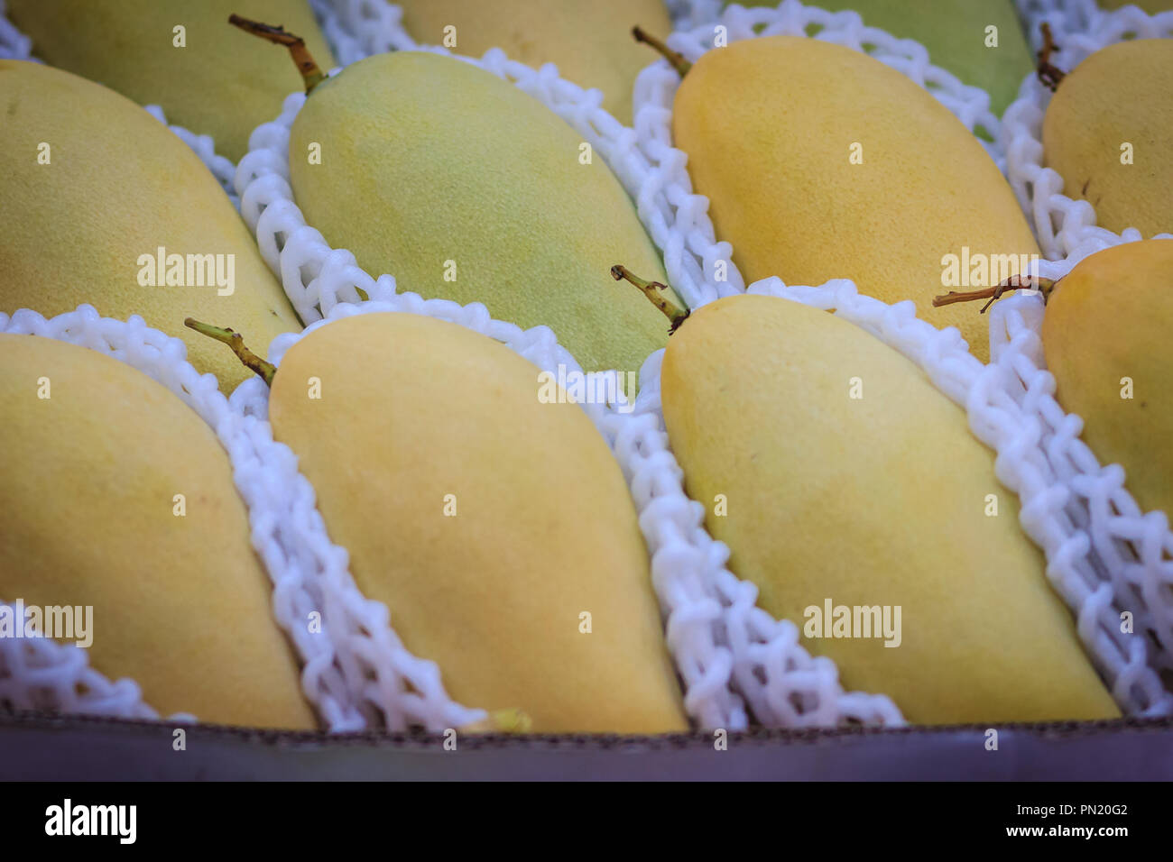 Organic Nam Dok Mai mangoes for sale at the fruit market. The Nam Doc ...