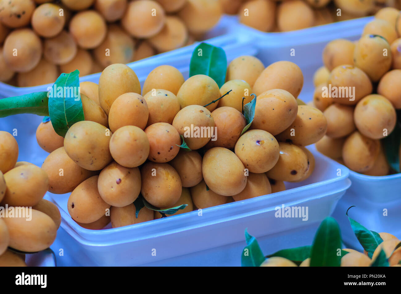 Plango fruit or Marian Plum, famous tropical fruit in Thailand for sale ...