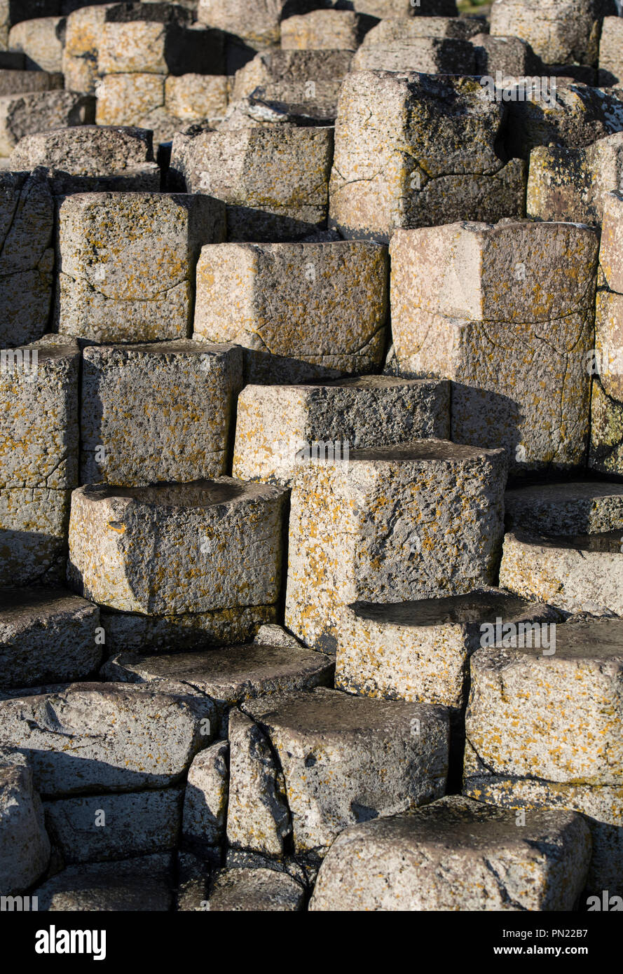 Detail of the basalt columns that make up the Giant's Causeway in ...