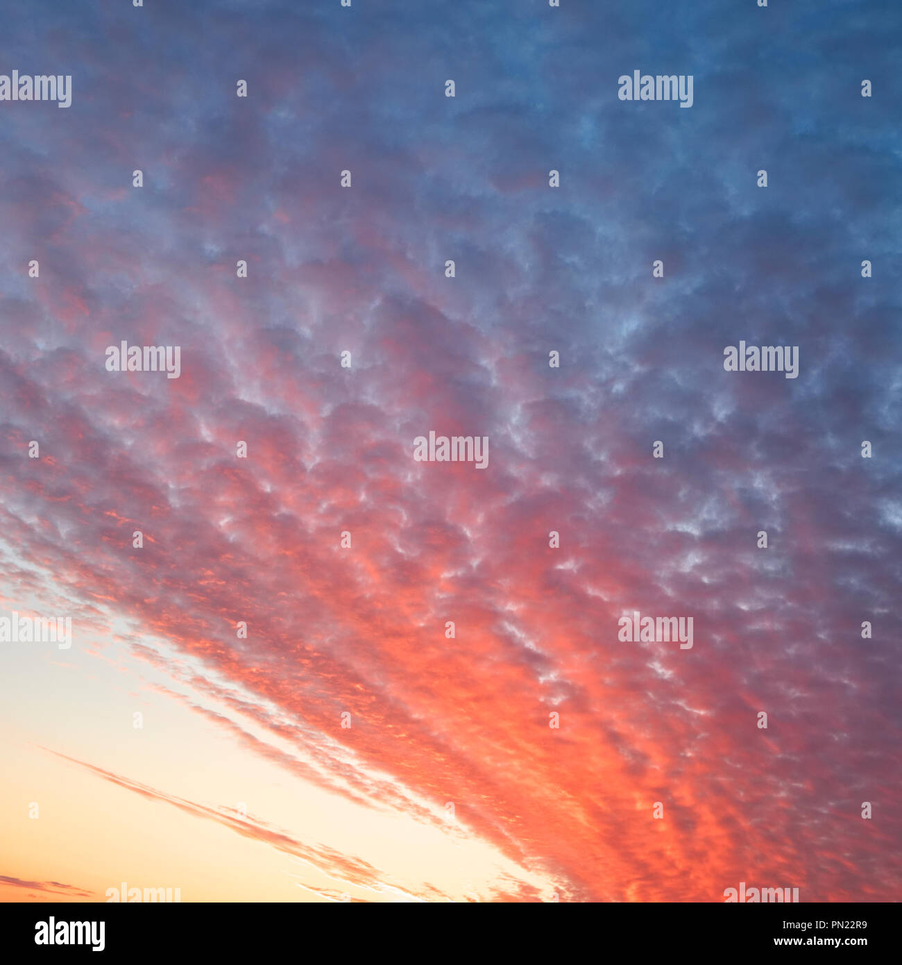 Sunlit patterns hi-res stock photography and images - Alamy