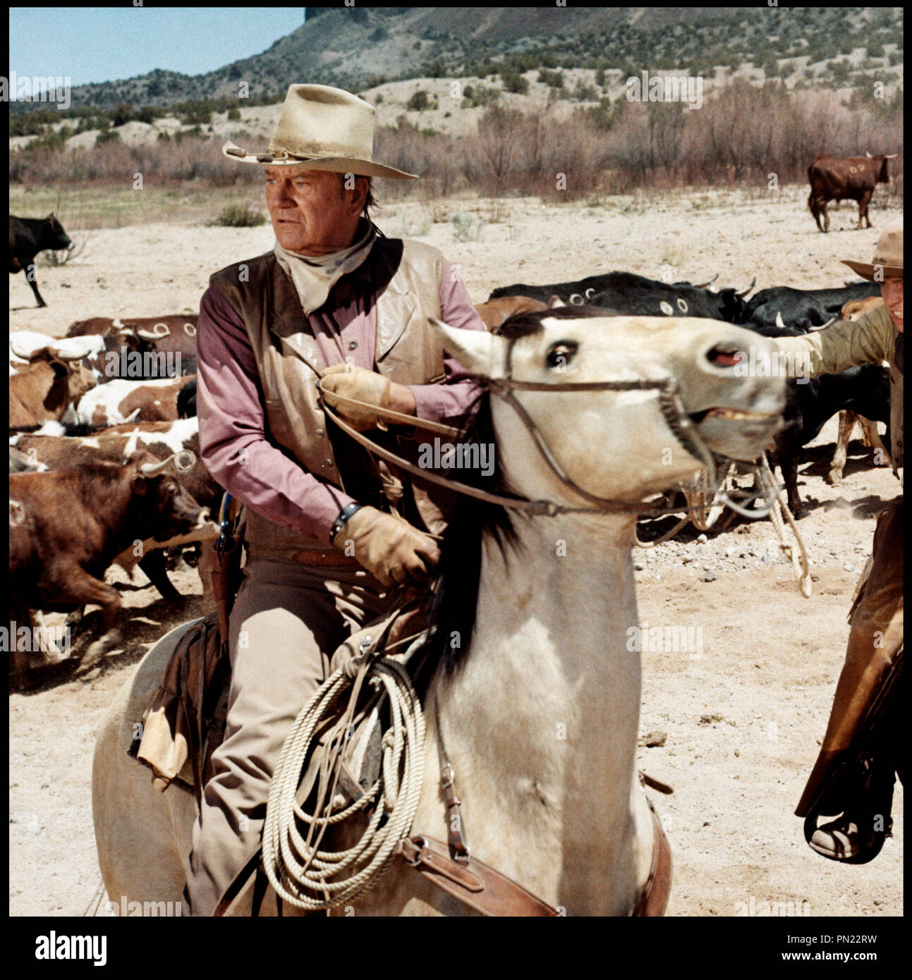 The Cowboys John Wayne Stock Photos & The Cowboys John Wayne Stock ...