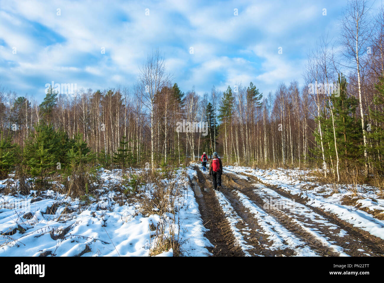 Two tourists walk along a forest road in autumn day Stock Photo - Alamy
