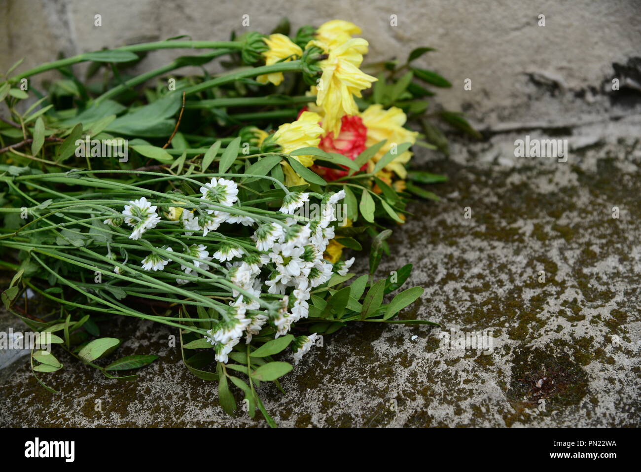 In loving memory flowers hi-res stock photography and images - Alamy