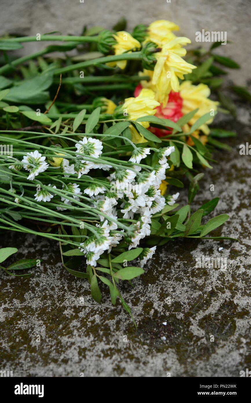 In loving memory flowers hi-res stock photography and images - Alamy