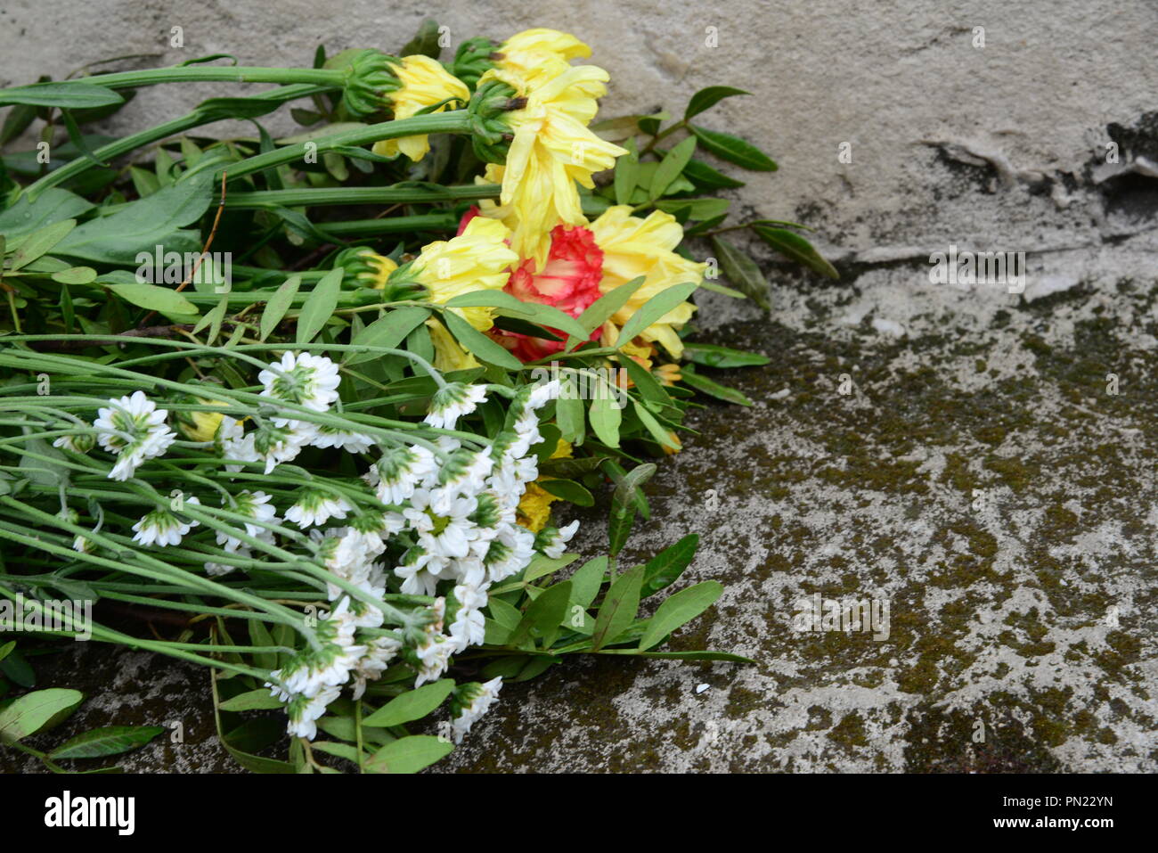In loving memory flowers hi-res stock photography and images - Alamy