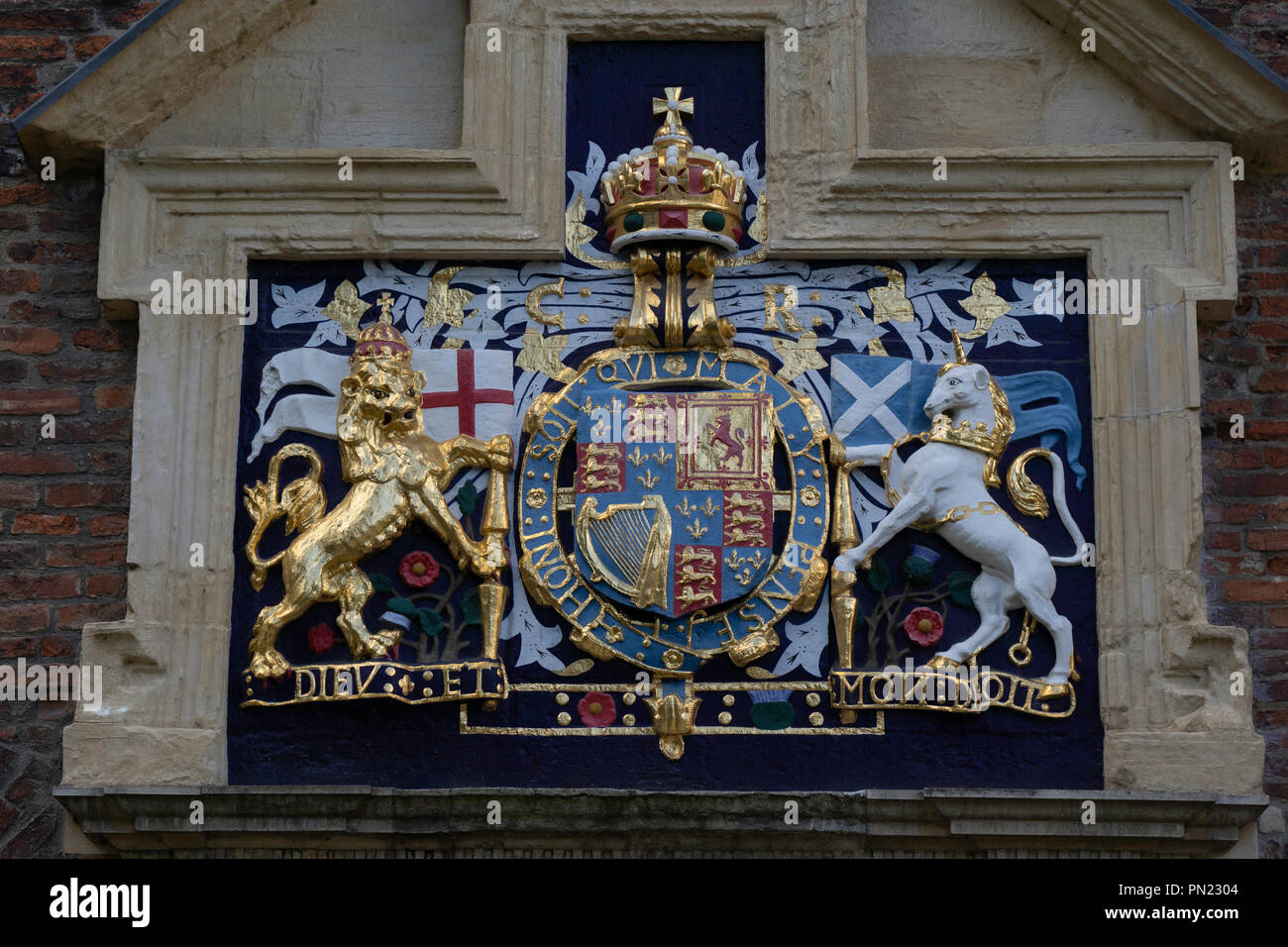 York University Coat Of Arms