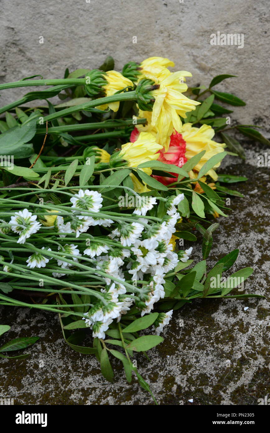 In loving memory flowers hi-res stock photography and images - Alamy