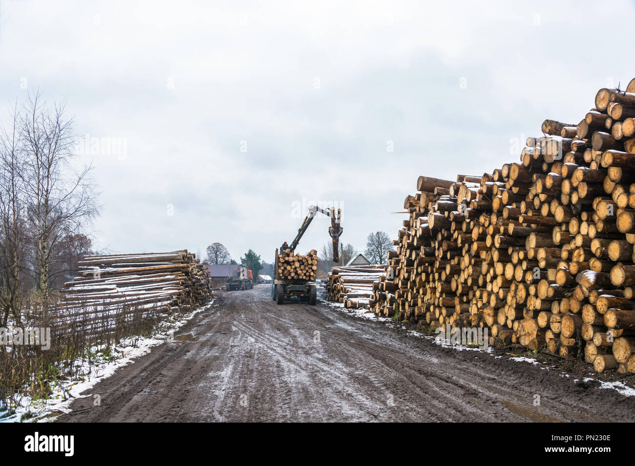 Logging industry russia hi-res stock photography and images - Alamy