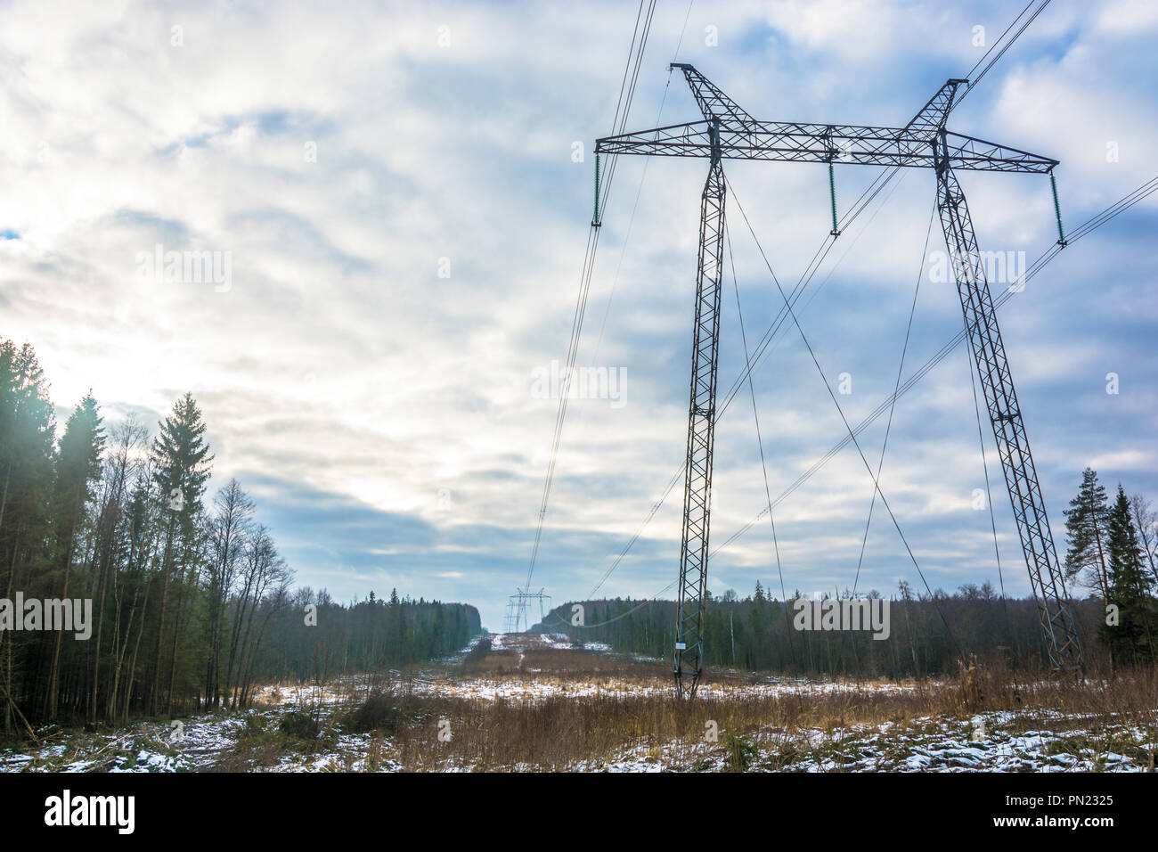 Power line through forest landscape hi-res stock photography and images ...