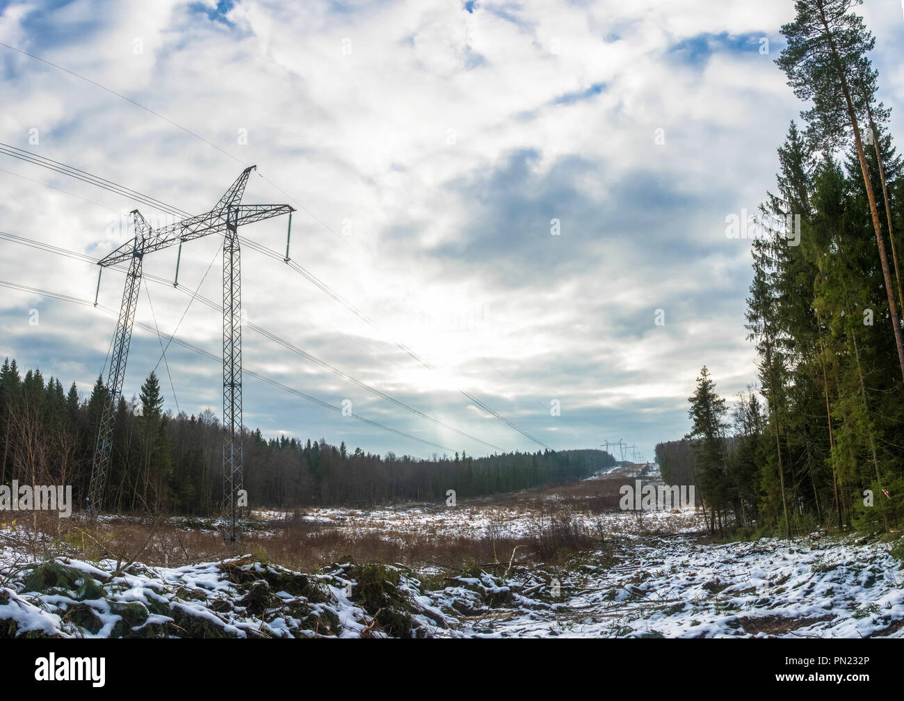 Power line leading through a forest in autumn day Stock Photo - Alamy