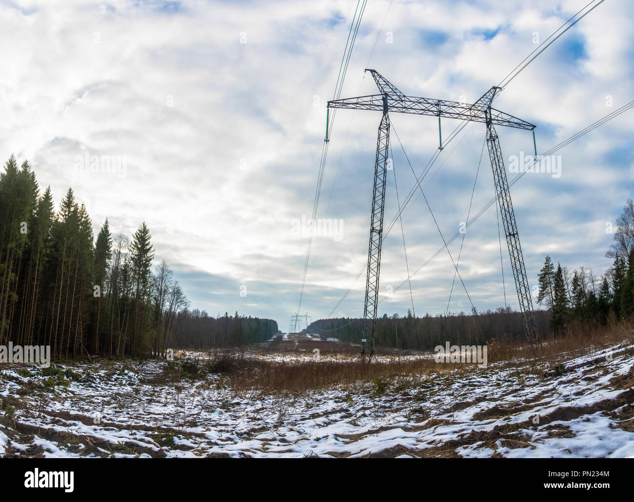 Powerlines in forest landscape hi-res stock photography and images - Alamy