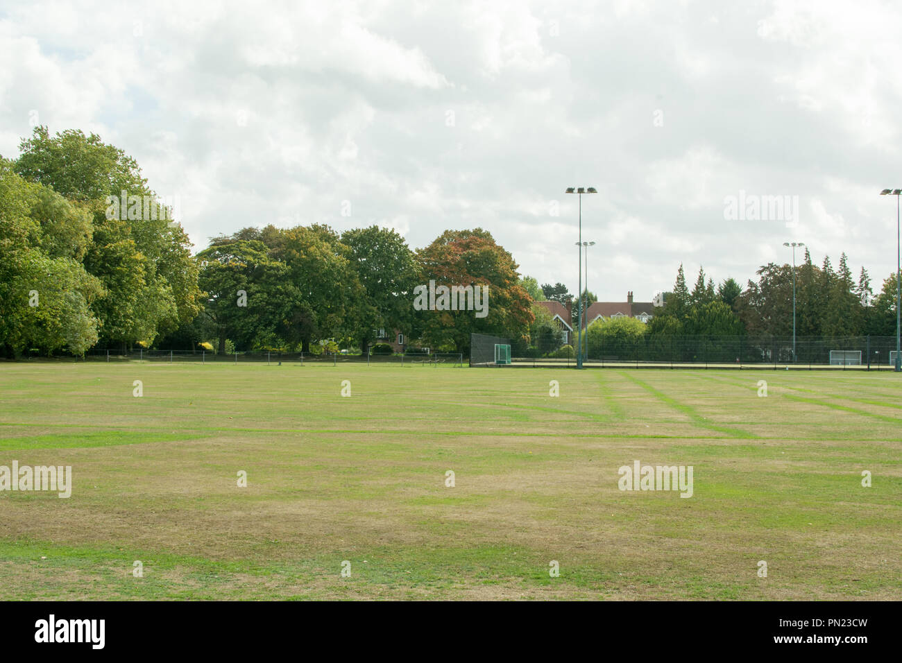 Grass playing field for sports and outdoor activity Stock Photo - Alamy