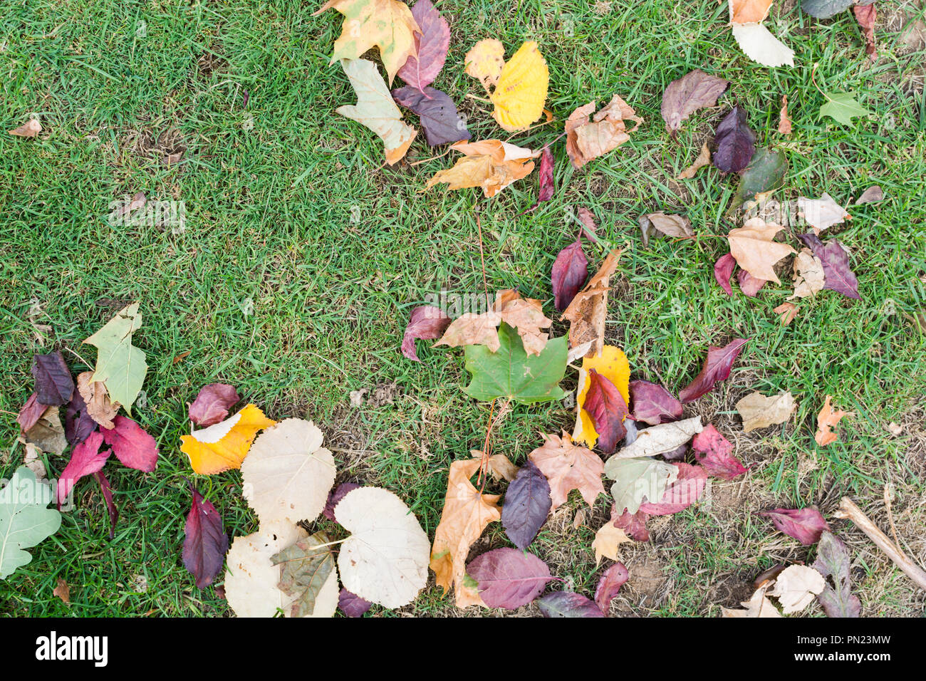 Seasons change hi-res stock photography and images - Alamy