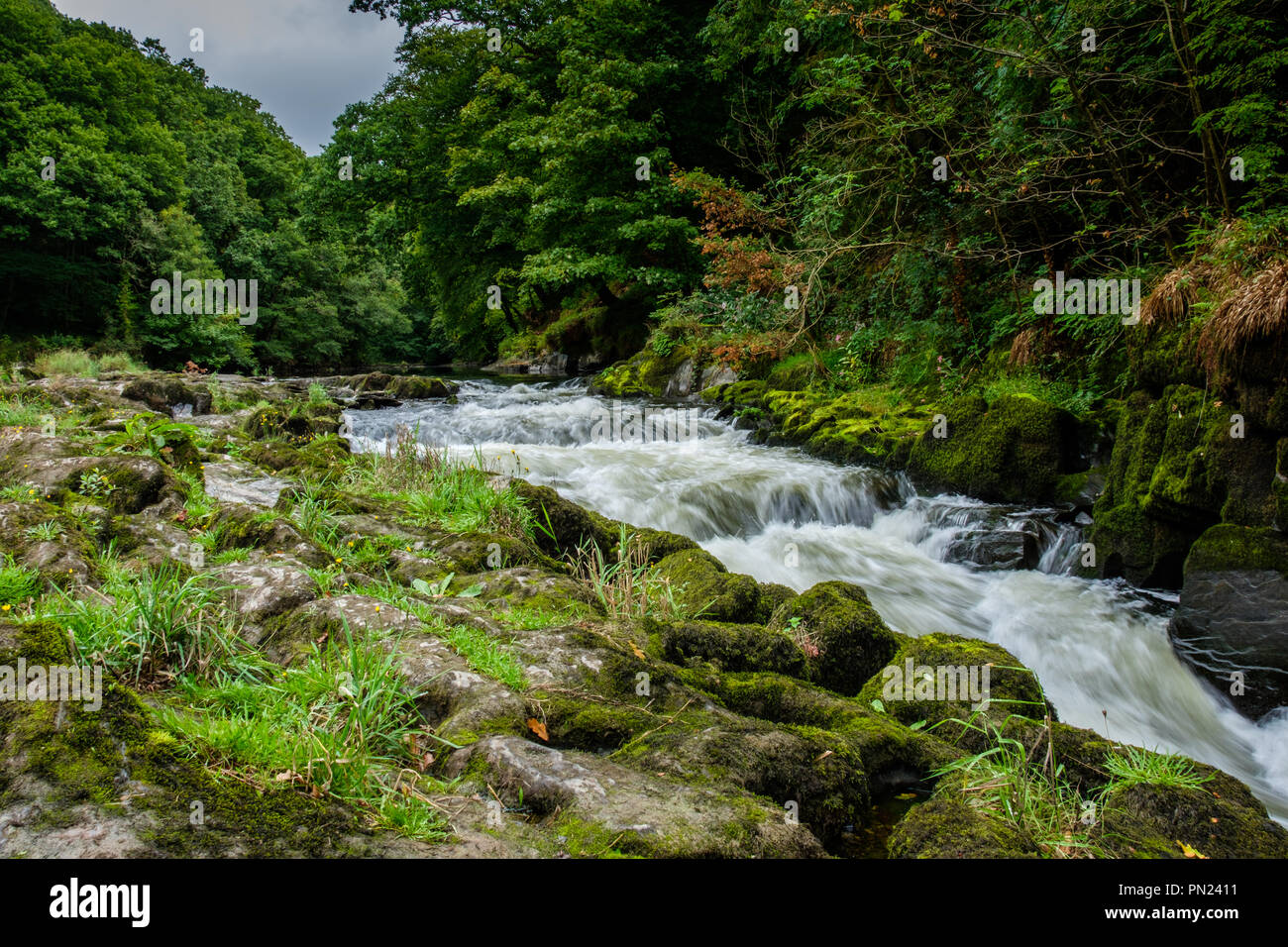 Cenarth falls hi-res stock photography and images - Alamy