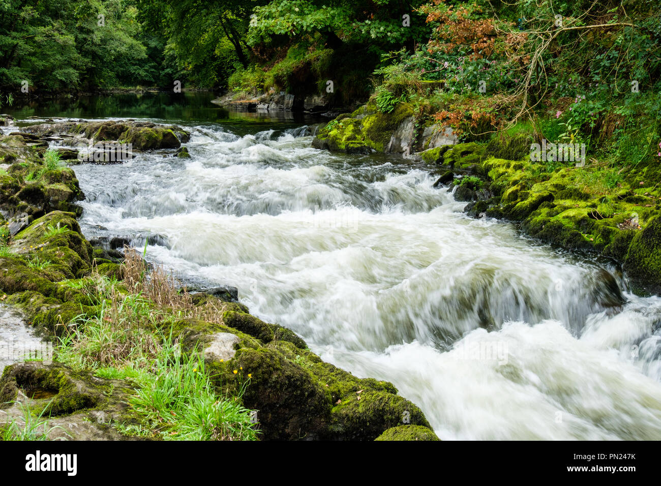 Cenarth falls hi-res stock photography and images - Alamy