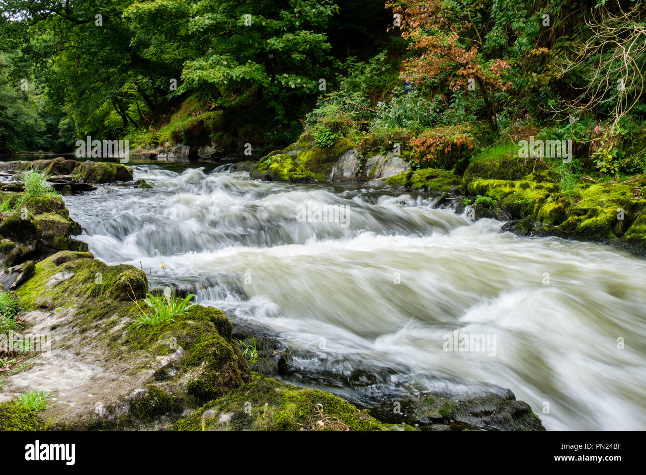 Cenarth falls hi-res stock photography and images - Alamy