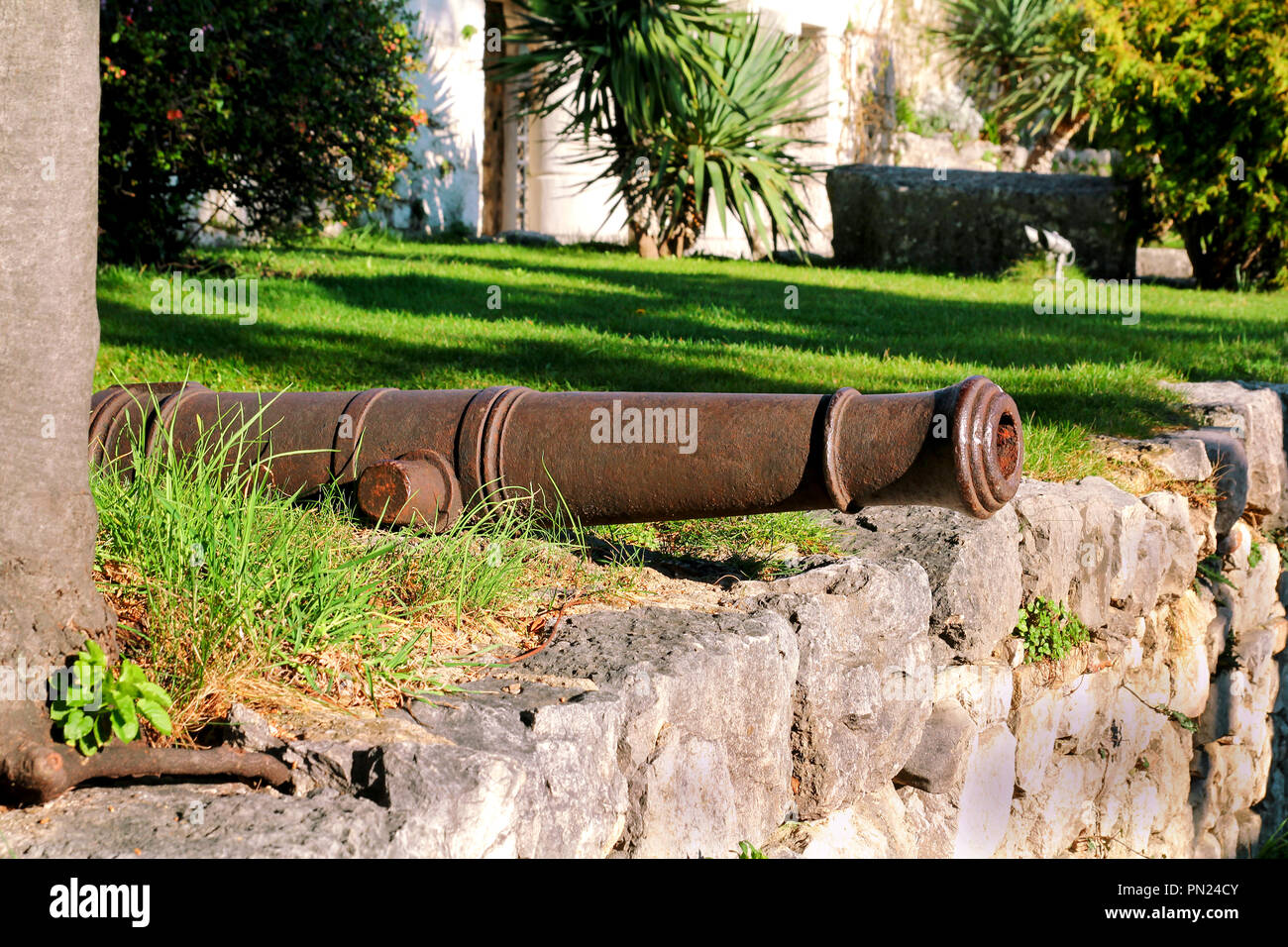 An old military cannon on the green grass, garden background. Ambushed ...