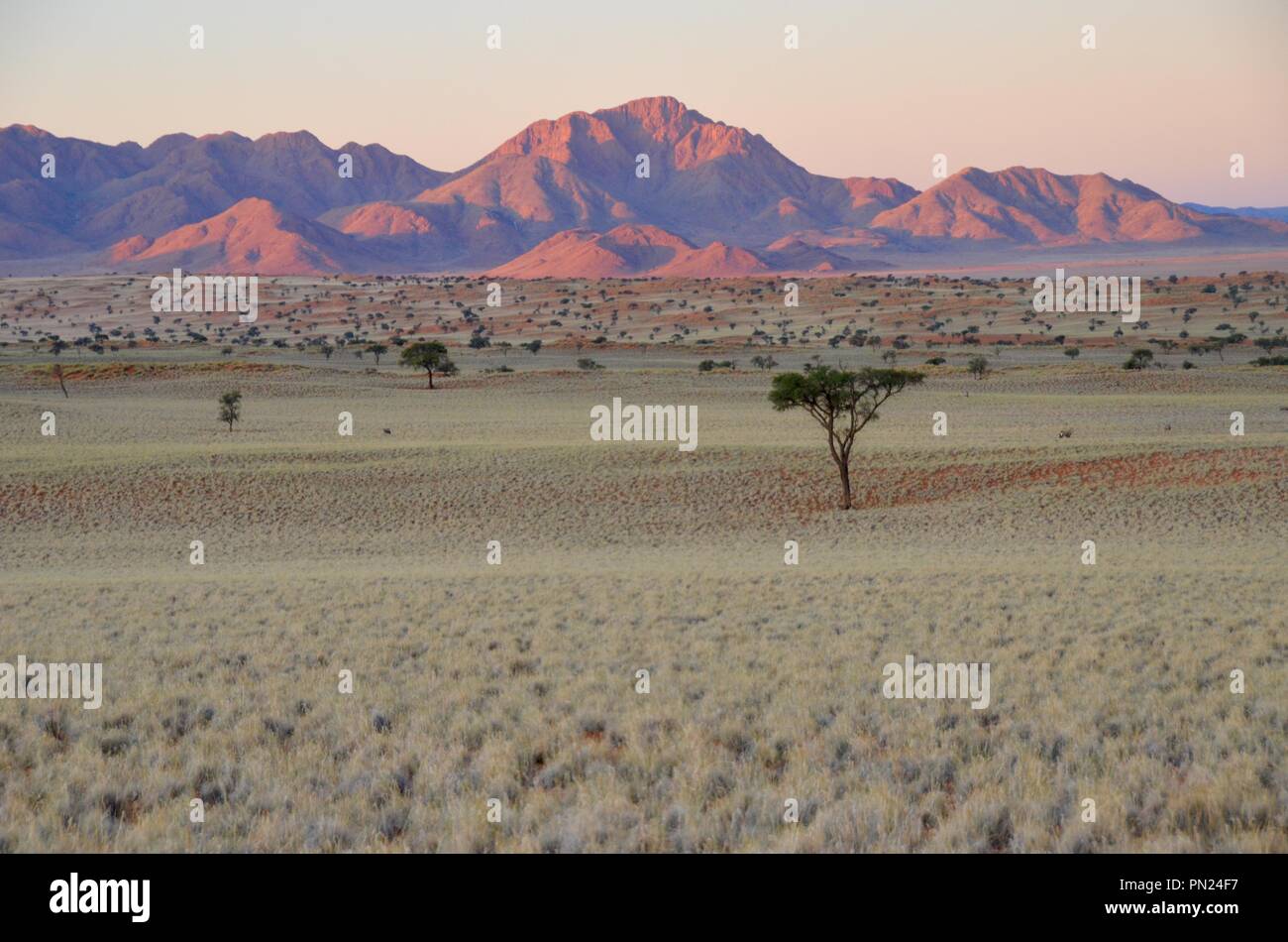 Nature of Namibia, Africa Stock Photo - Alamy