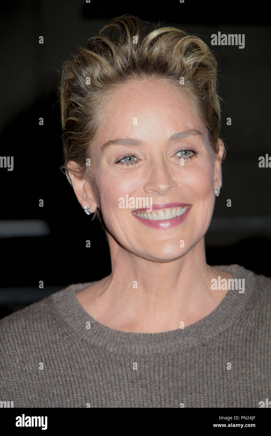 Sharon Stone 10/16/2014 Hollywood Film Festival Opening Night Red ...