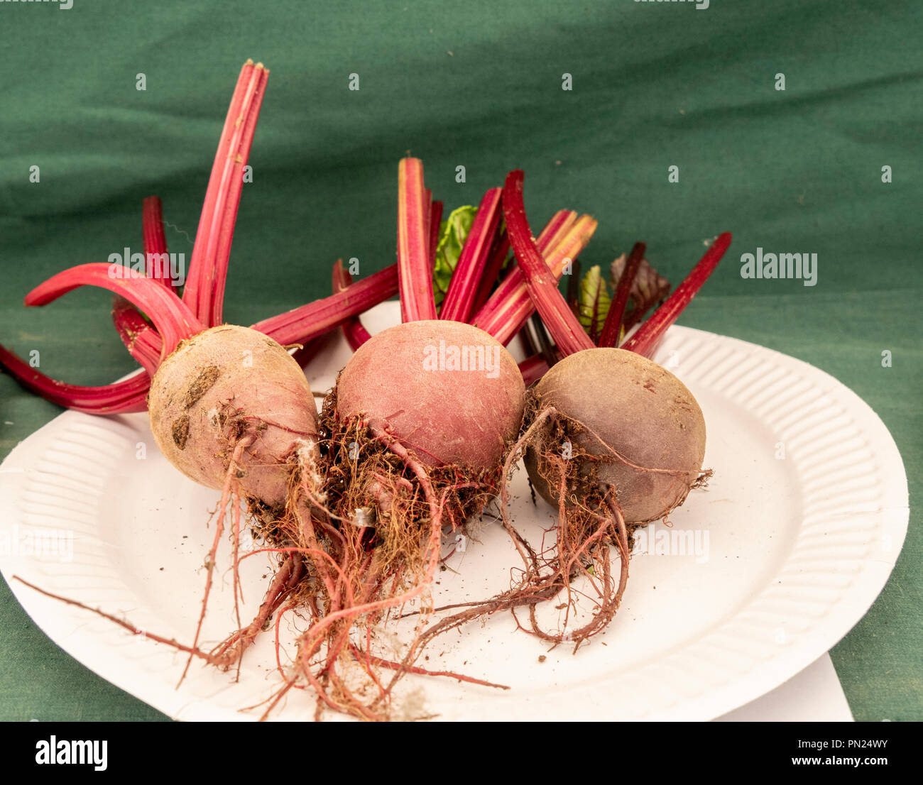 Beetroot display hi-res stock photography and images - Alamy