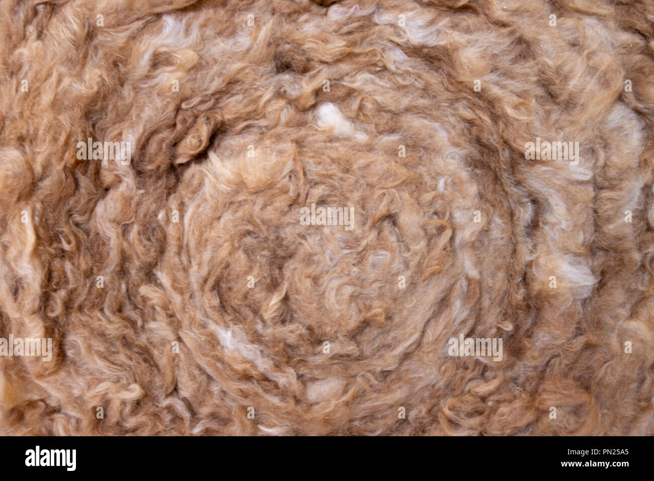 Close up of a glass wool roll for insulation purpose, side view with ...