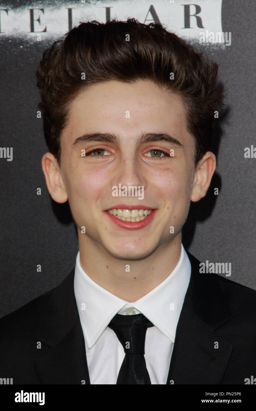Timothee Chalamet at the Paramount Pictures' premiere of "Interstellar ...