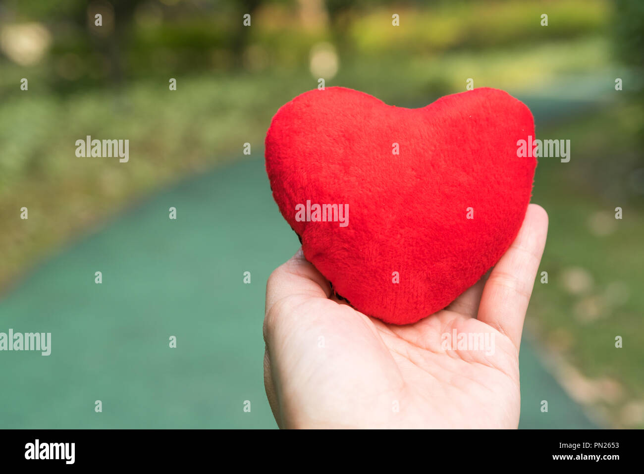 red heart in hand on the green walking path backgrounds with copy space ...