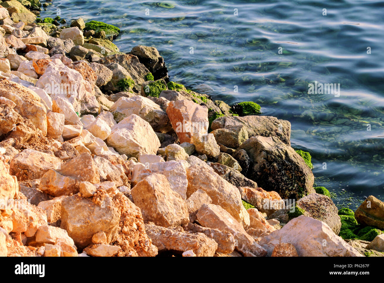 Green algae on a rock in the middle of the sea. Stone, rocks, algae and ...