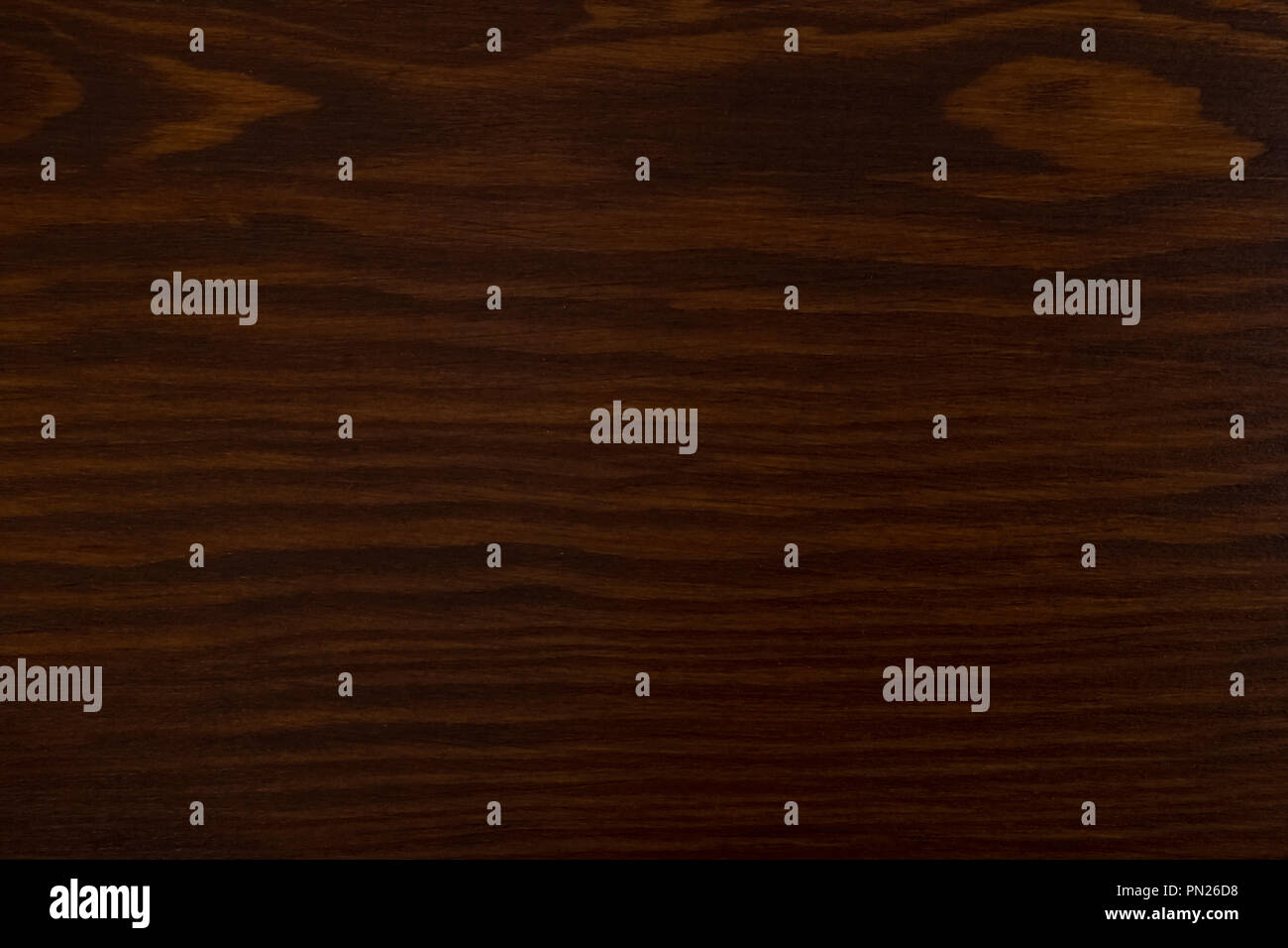 Creative tree background. Bright contrast texture. Tinted pine Stock ...