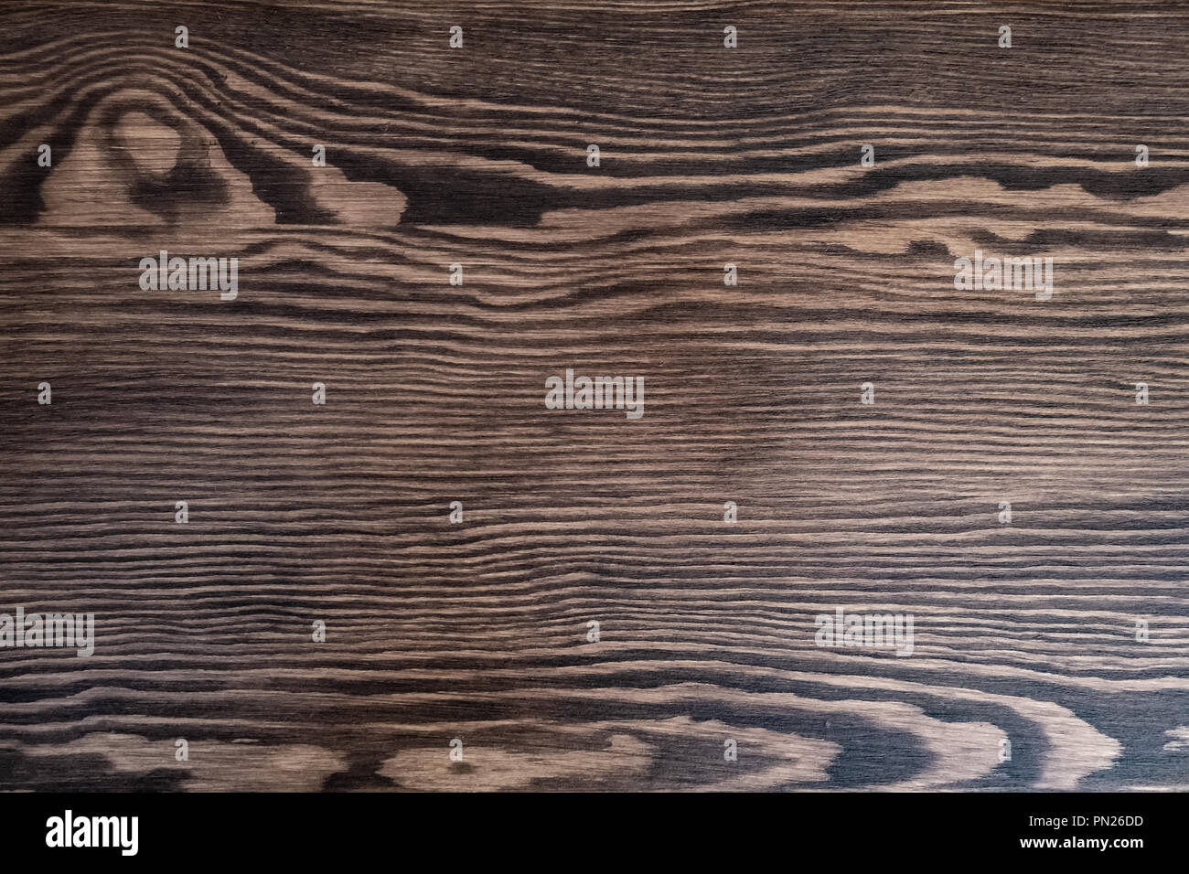 Creative tree background. Bright contrast texture. Tinted pine Stock ...