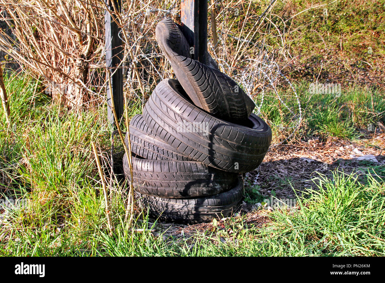 Old car tires left in the natural environment. Nature is destroyed. Rubber tires left in forest ...