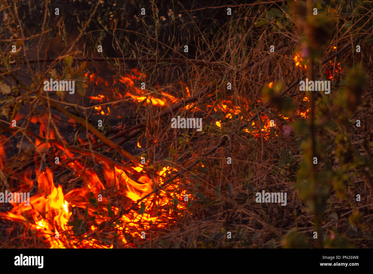 Caribbean forest fire hi-res stock photography and images - Alamy