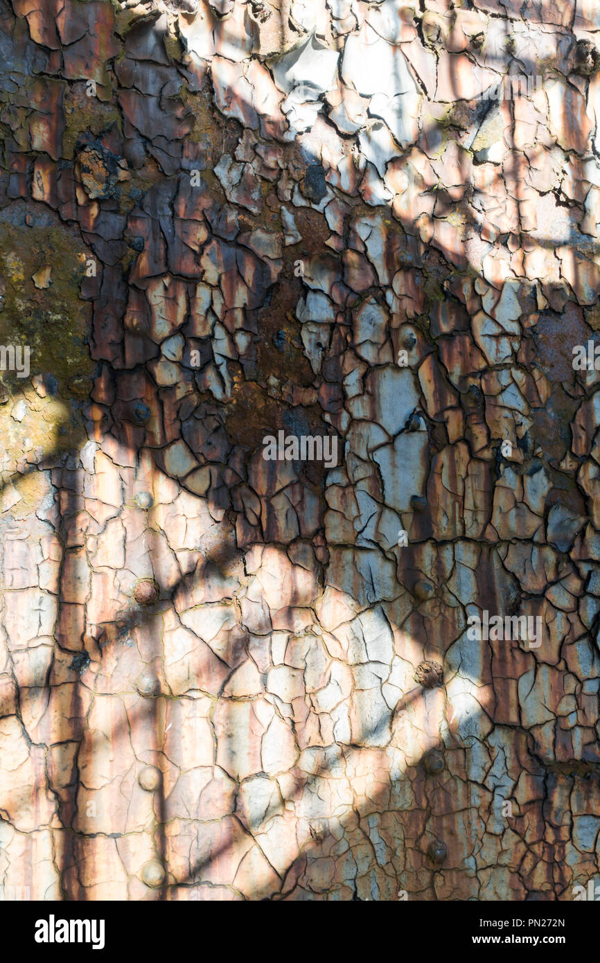 Rusty steel panels on an old ship, cracked and textured with flaking ...
