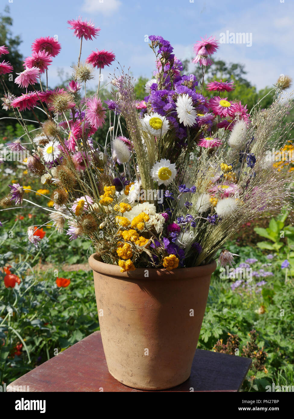 Pot dried flowers hi-res stock photography and images - Alamy