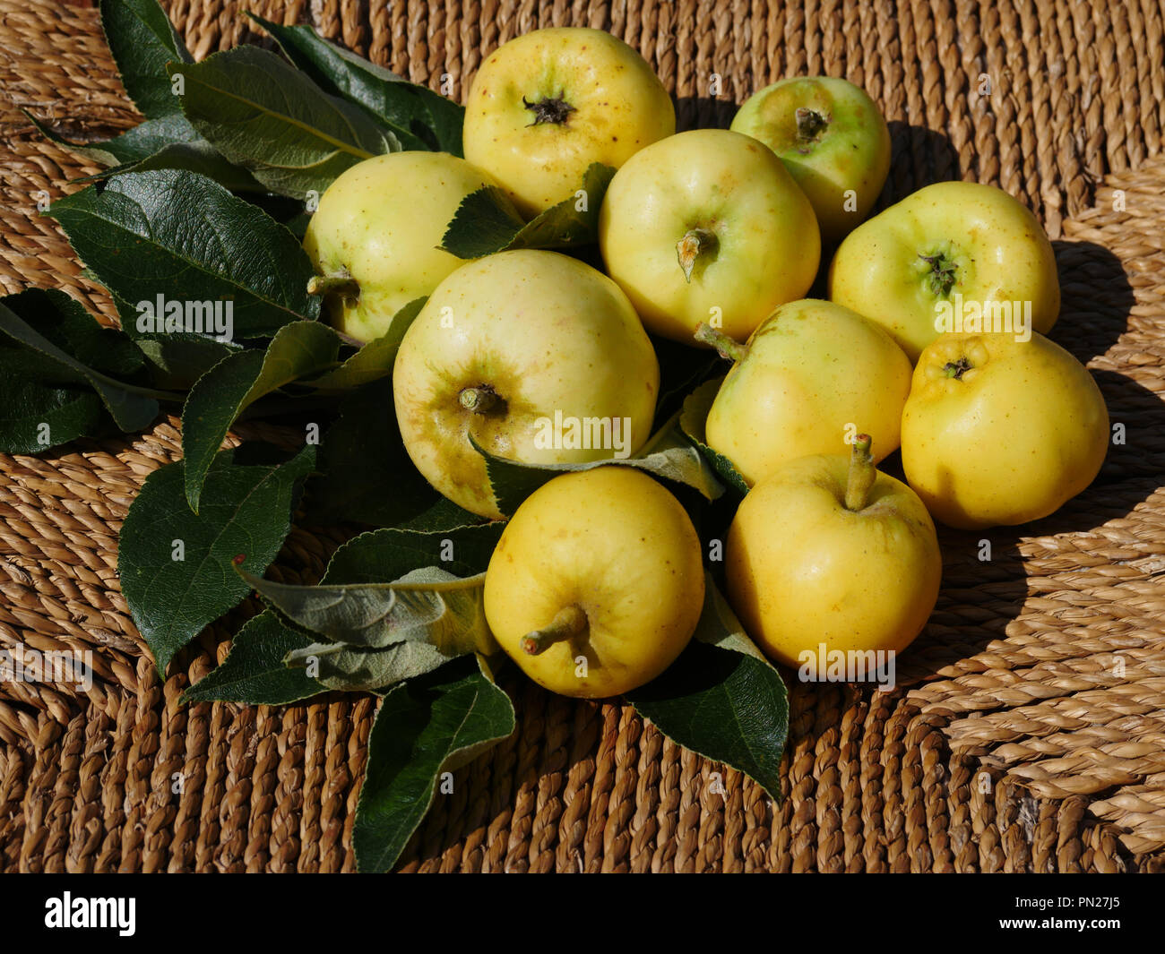 Woven rush hi-res stock photography and images - Alamy