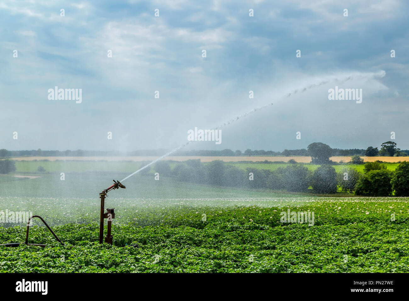 Agricultural water hi-res stock photography and images - Alamy