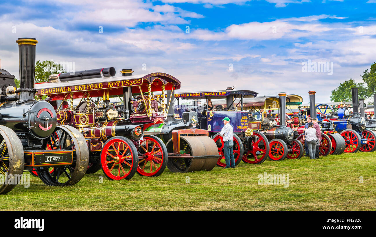 Steam engines lined up at a rally Stock Photo - Alamy