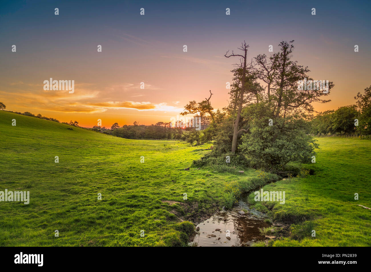 Black brook hi-res stock photography and images - Alamy