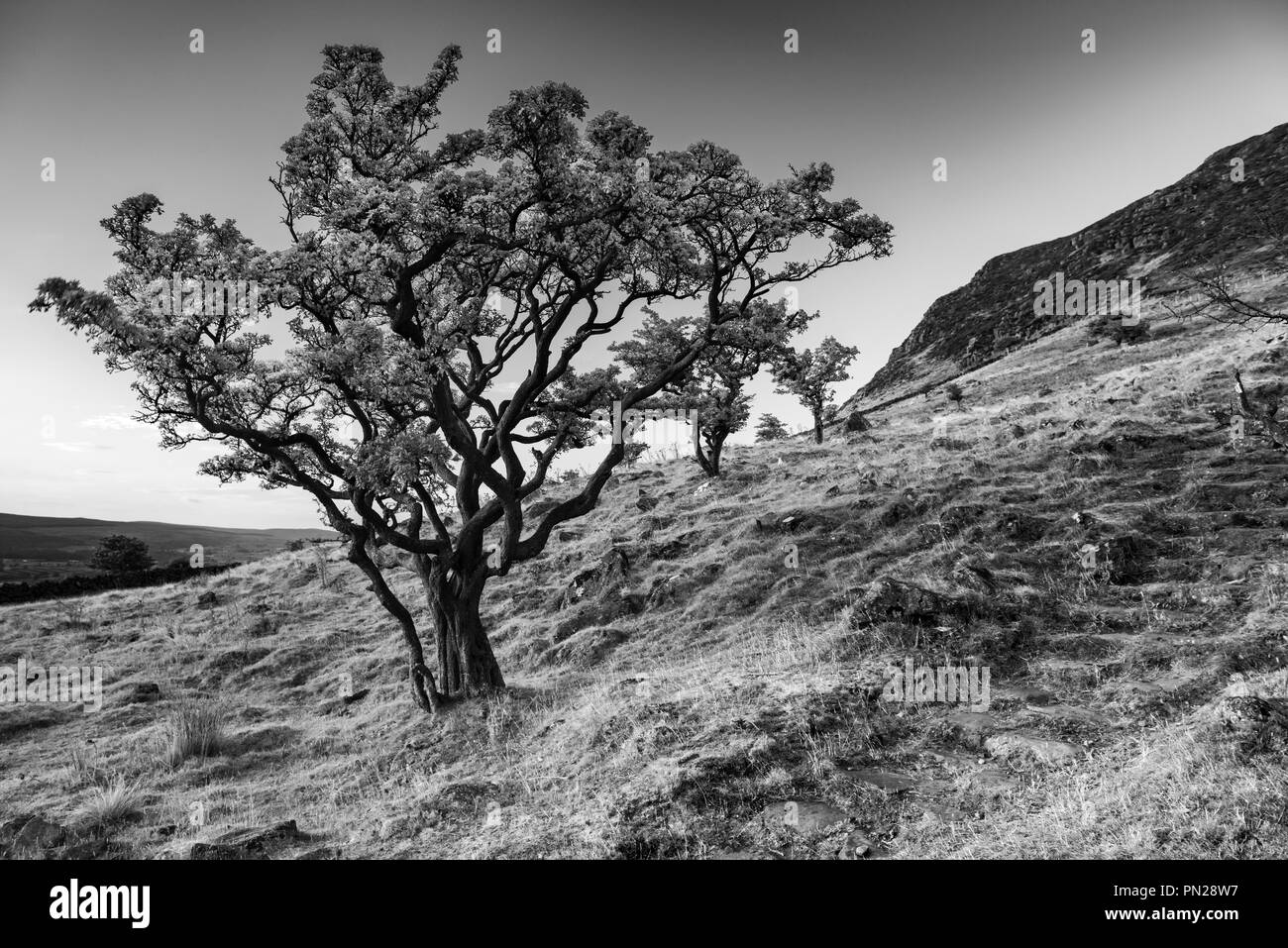 Slemish mountain county antrim hi-res stock photography and images - Alamy