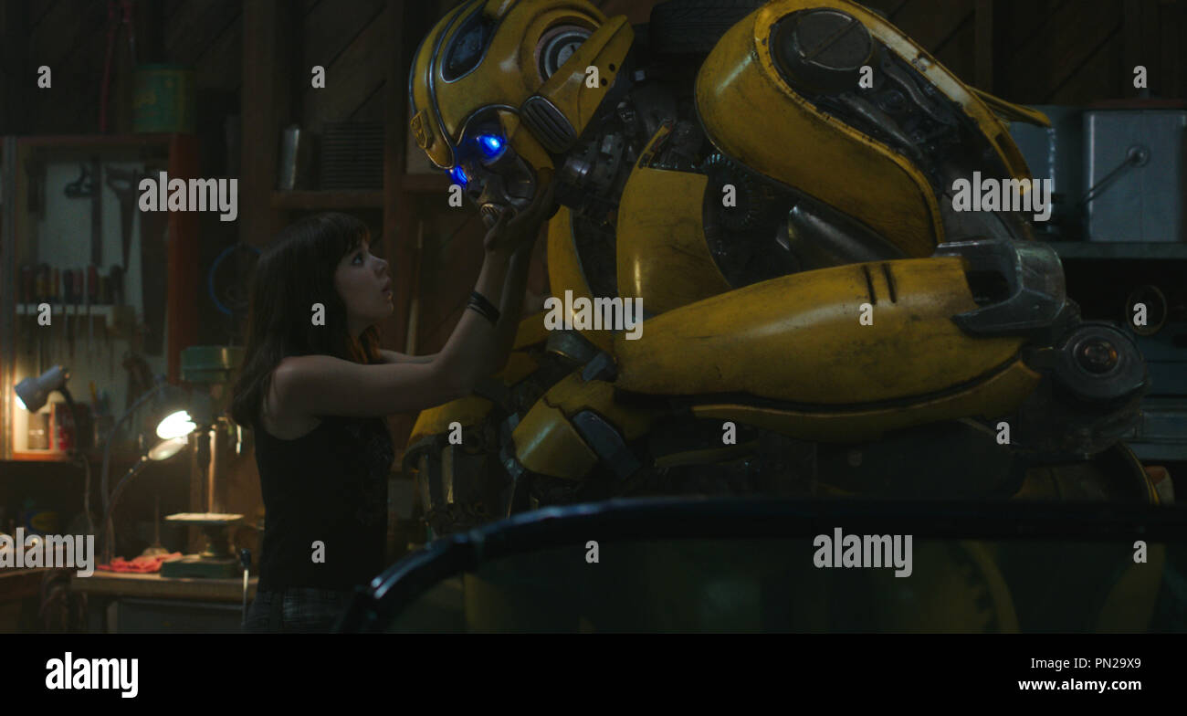 Bumblebee charlie watson hi-res stock photography and images - Alamy