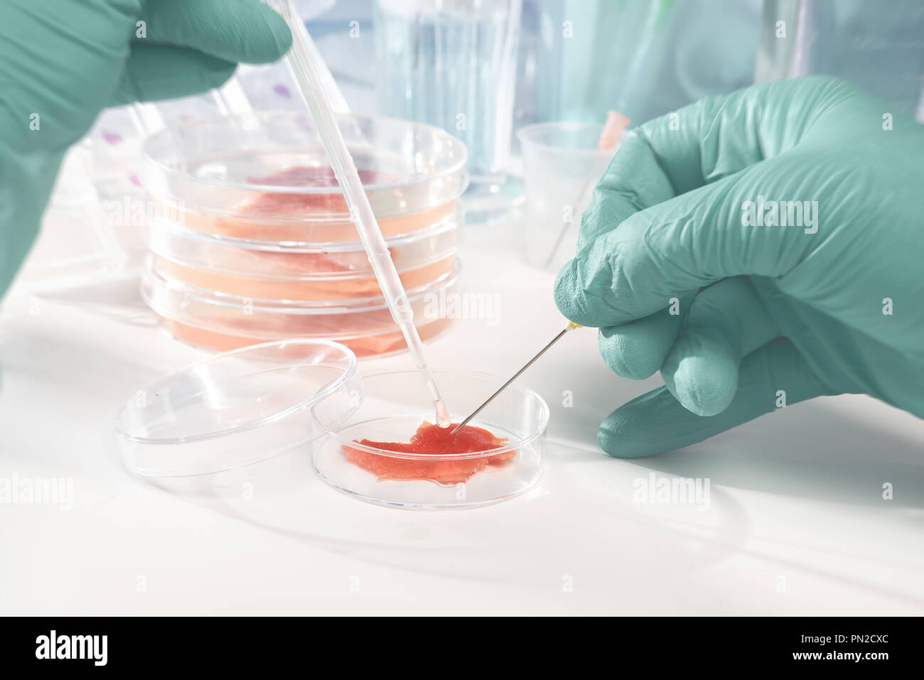 Laboratory meat hand hi-res stock photography and images - Alamy