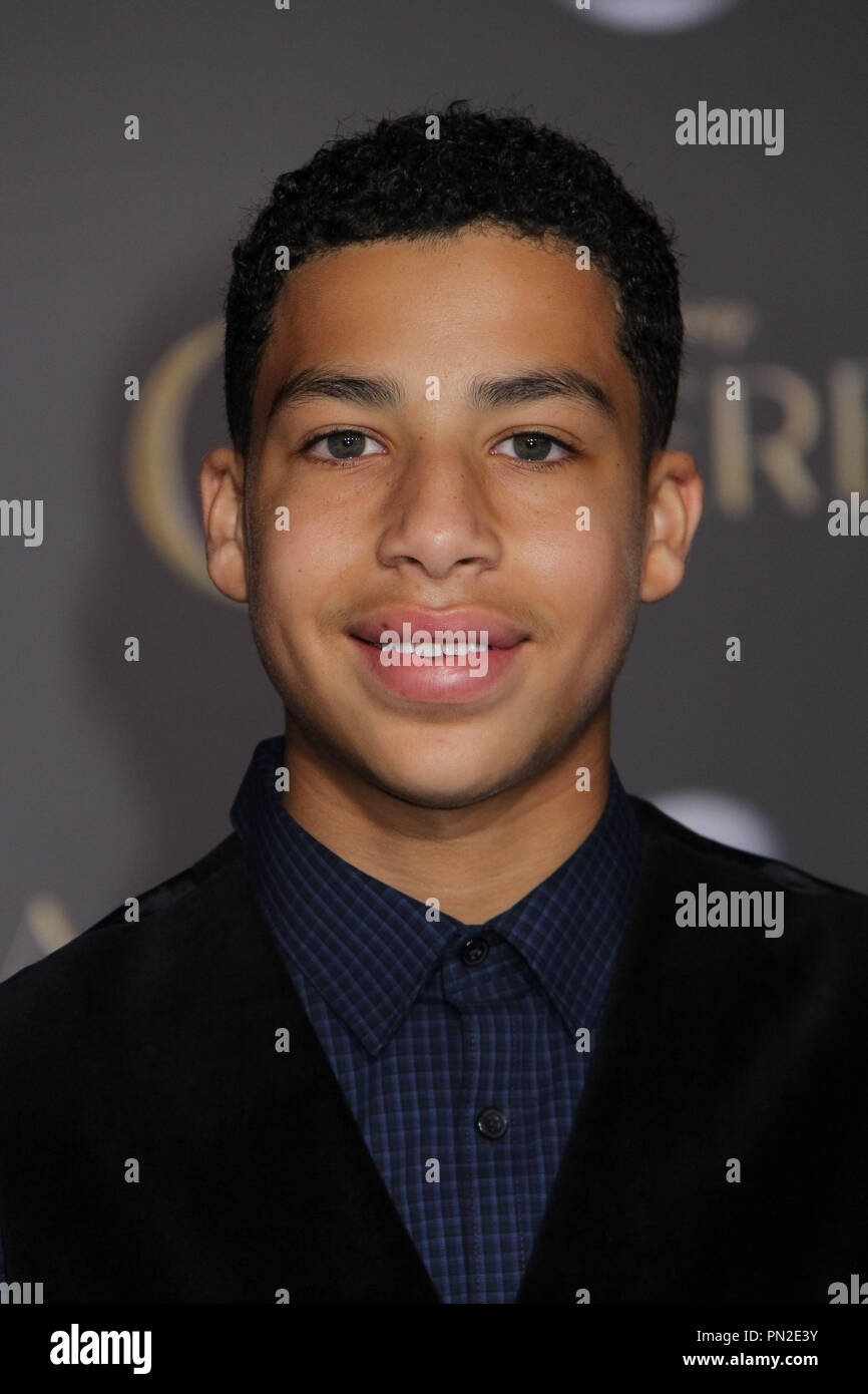 Marcus Scribner High Resolution Stock Photography and Images - Alamy