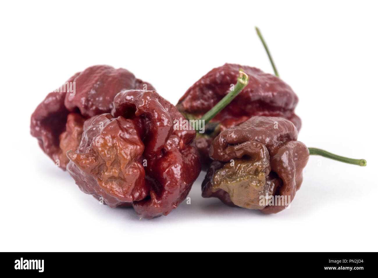 Moruga High Resolution Stock Photography and Images - Alamy