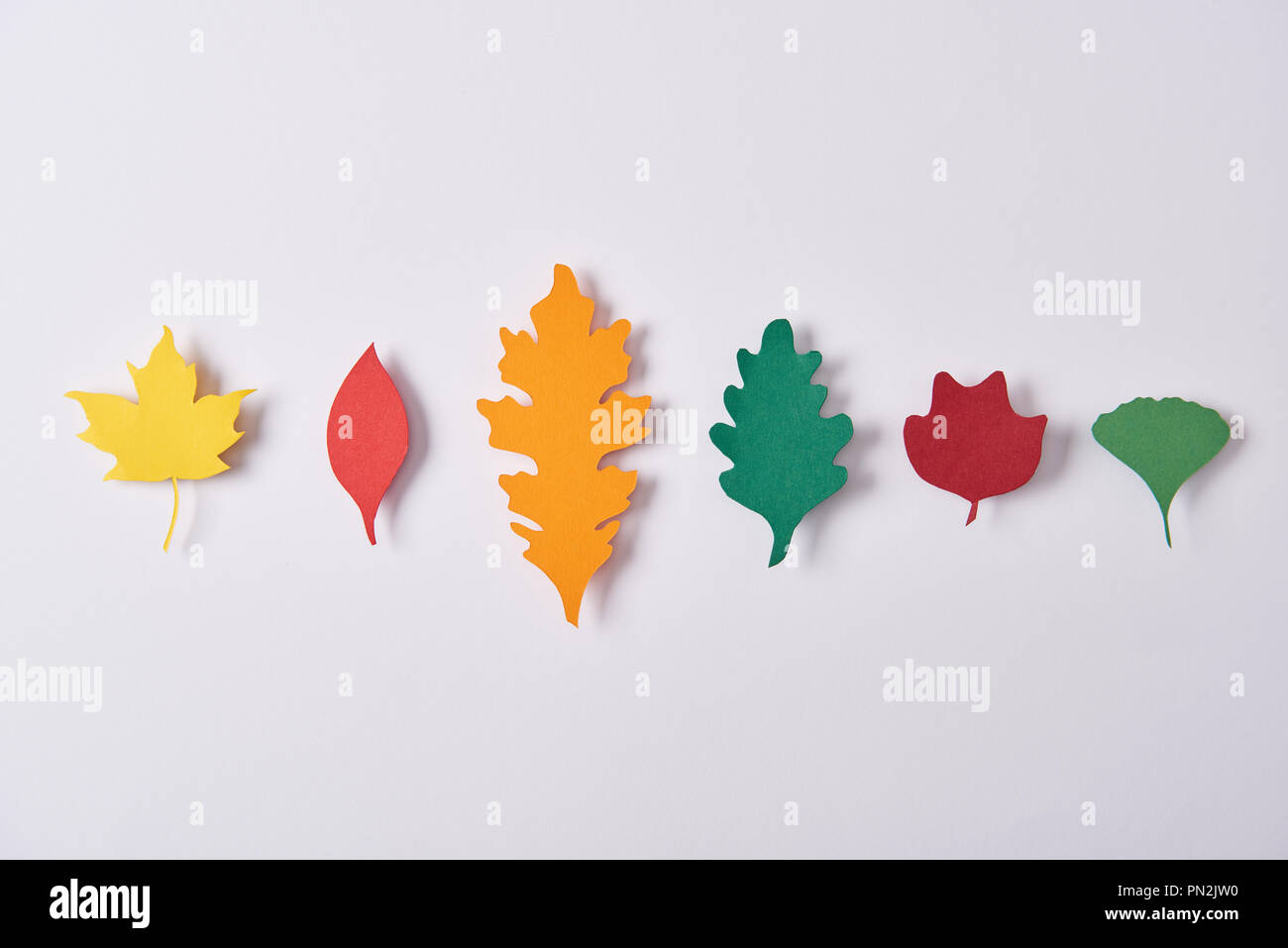 top view of colorful leaves made of paper arranged on white background ...
