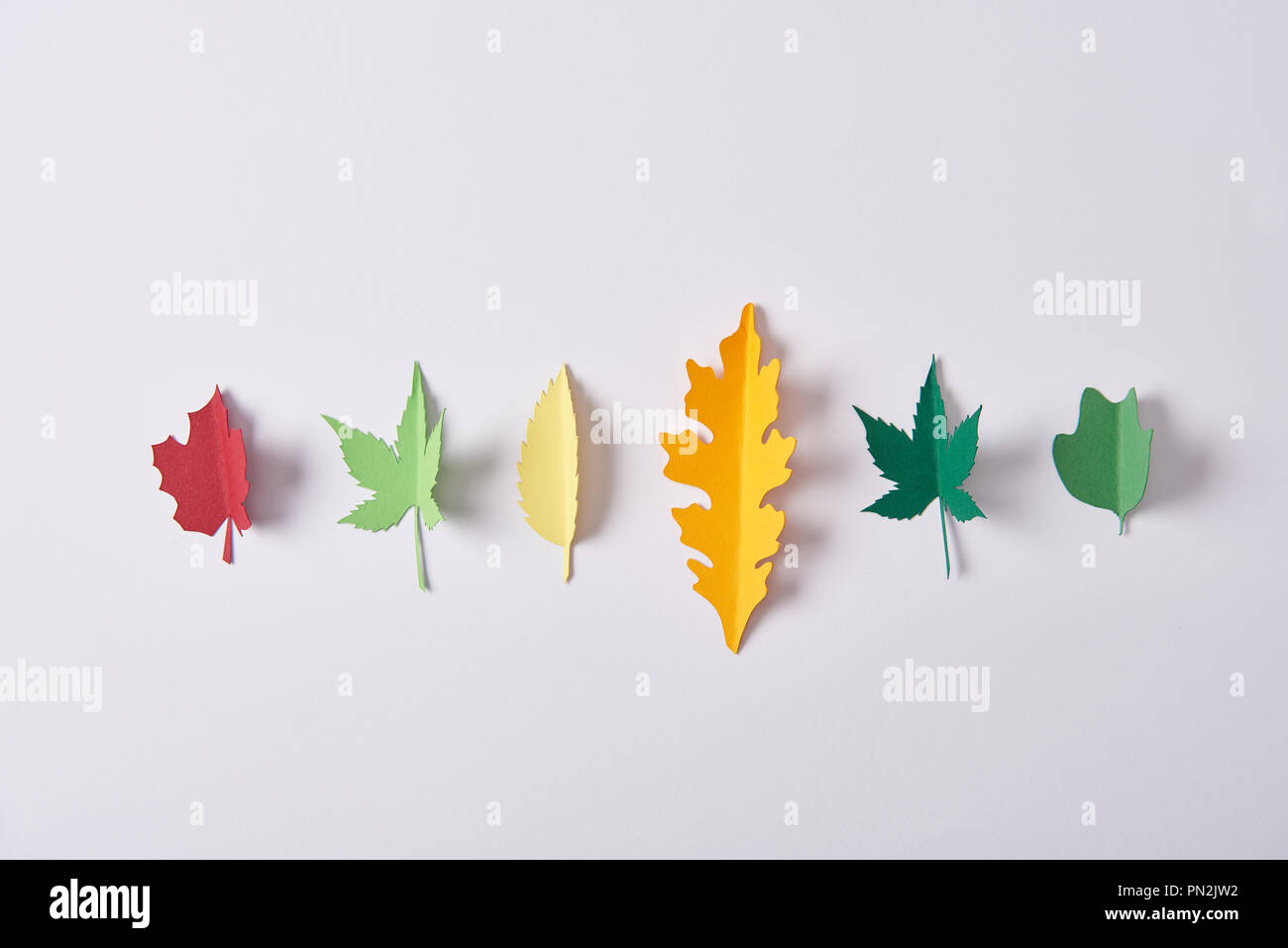 top view of colorful leaves made of paper arranged on white background ...