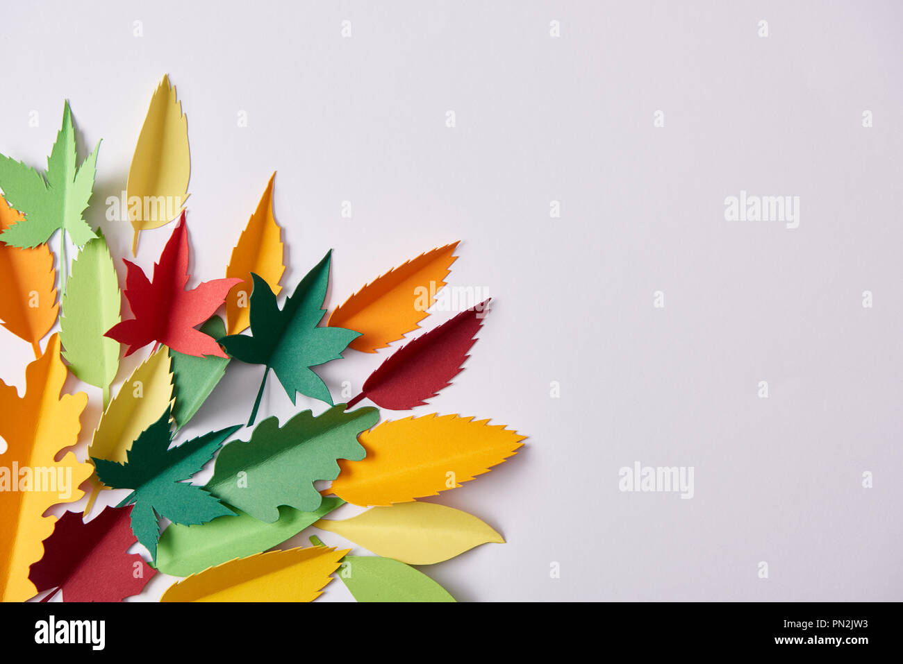 flat lay with colorful handmade paper foliage arranged on white ...