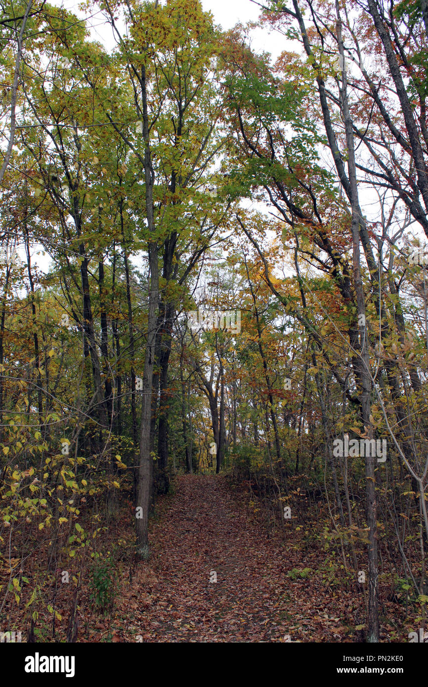 Pringle nature center hi-res stock photography and images - Alamy