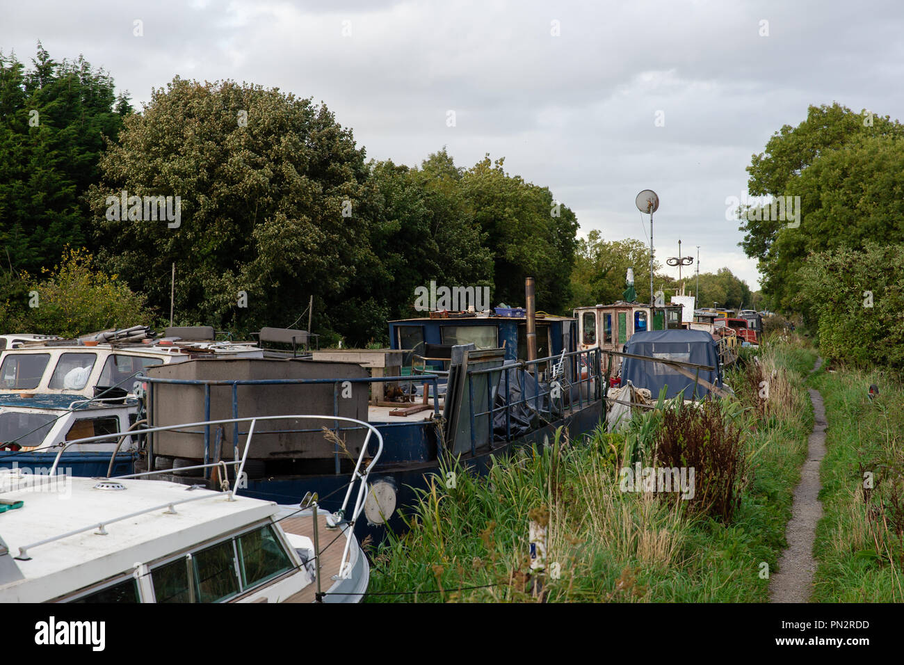 Boats anchored at the Grand Canal in Hazelhatch used by people as an ...