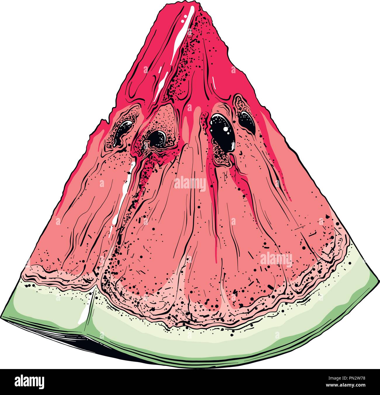 A hand-drawn sketch of a cut watermelon in color, isolated on a white ...